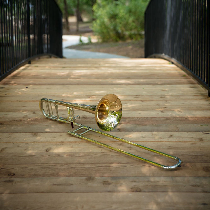 Houghton Horns